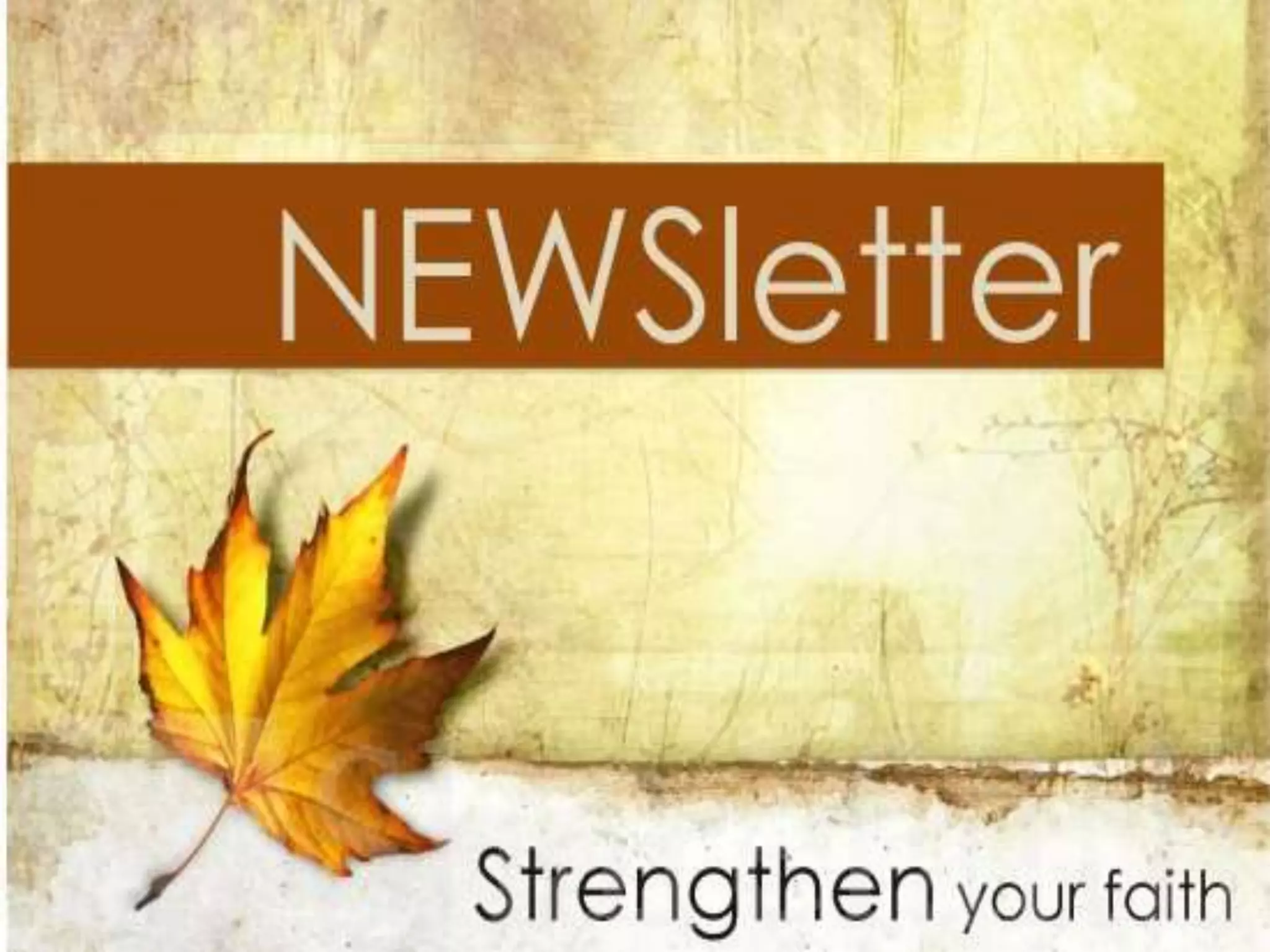 Newsletters Design | PPT