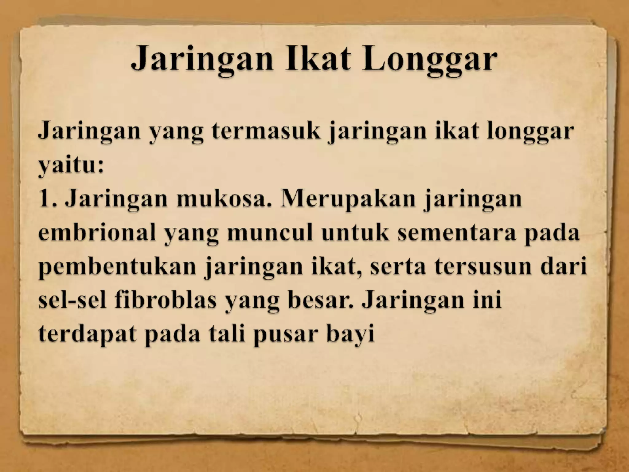 Jaringan Ikat Longgar | PPTX