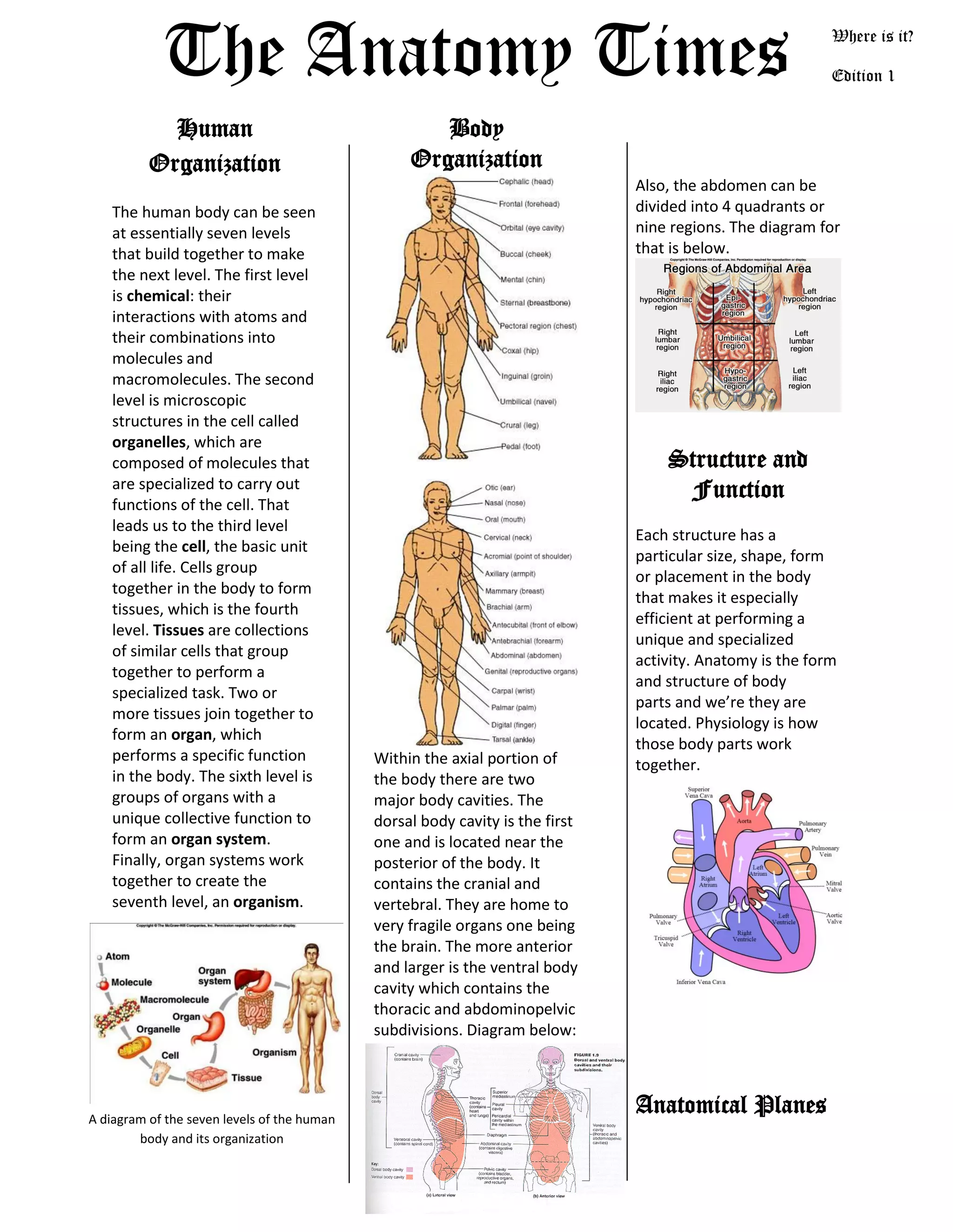 Newspaper anatomy revised | PDF