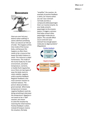 Newspaper anatomy revised | PDF