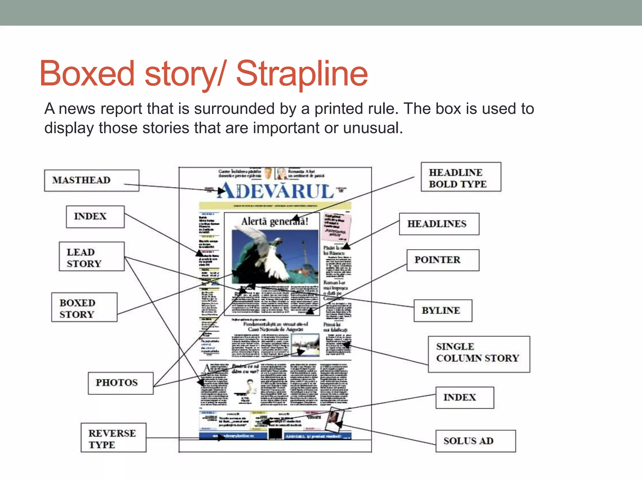Newspaper: Layout and Features of Front Page | PPTX