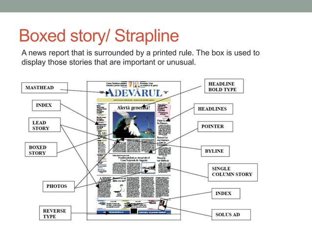 Newspaper: Layout and Features of Front Page | PPTX | Technology ...