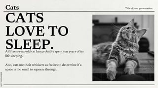 Newspaper style presentation template · SlidesMania.pptx