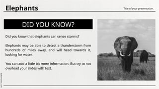 Newspaper style presentation template · SlidesMania.pptx