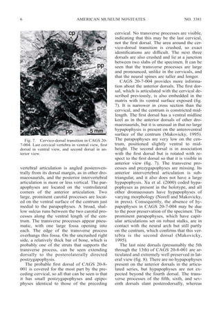 New_Specimens_of_Microraptor_zhaoianus_Theropoda_D.pdf