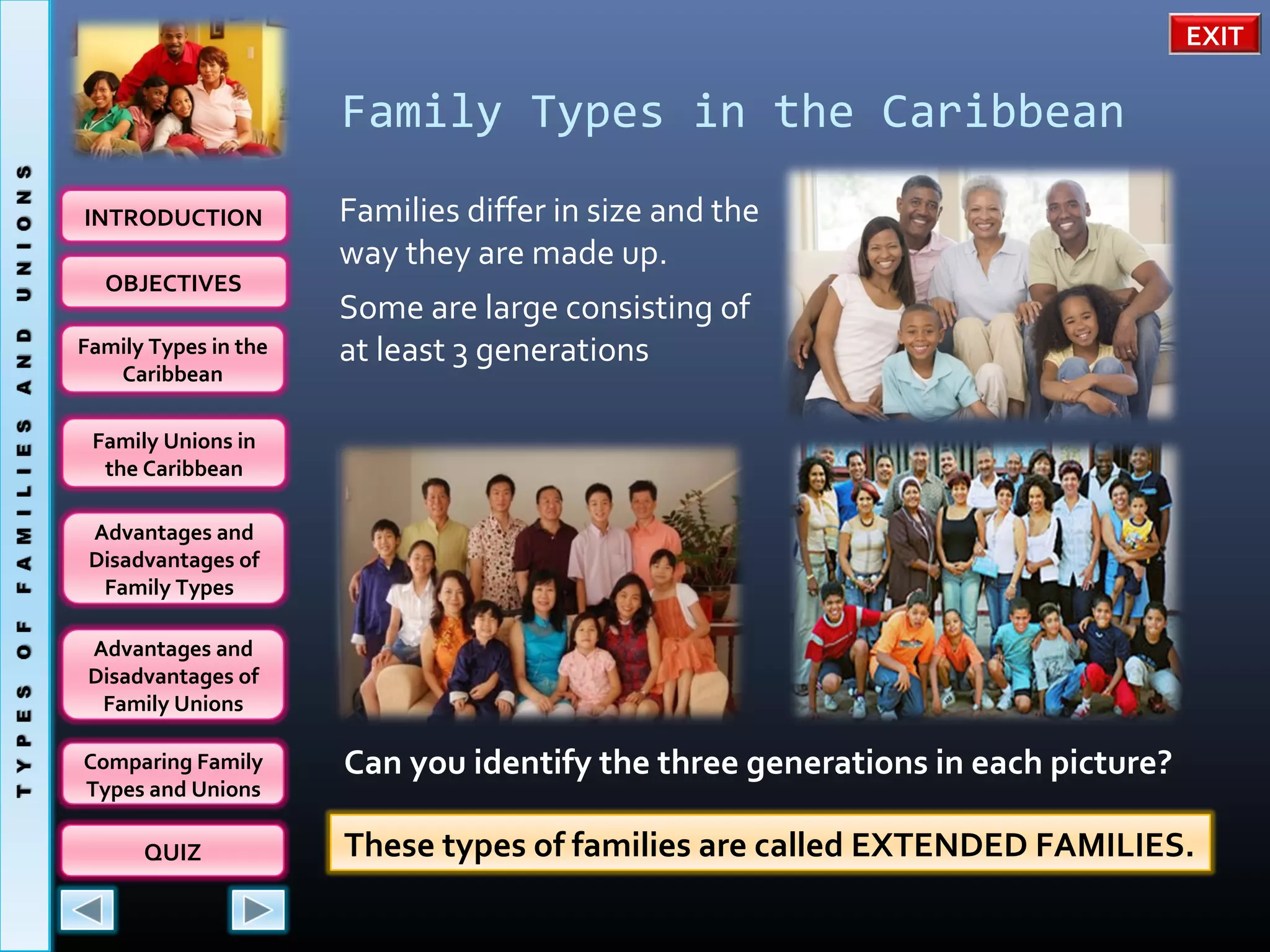 Social Studies M1 Types of family and unions | PPT