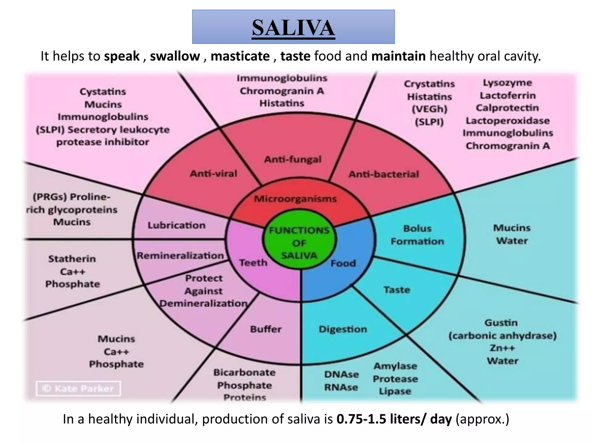 Stem cell therapy for xerostomia | PPTX | Ear, Nose and Throat ...