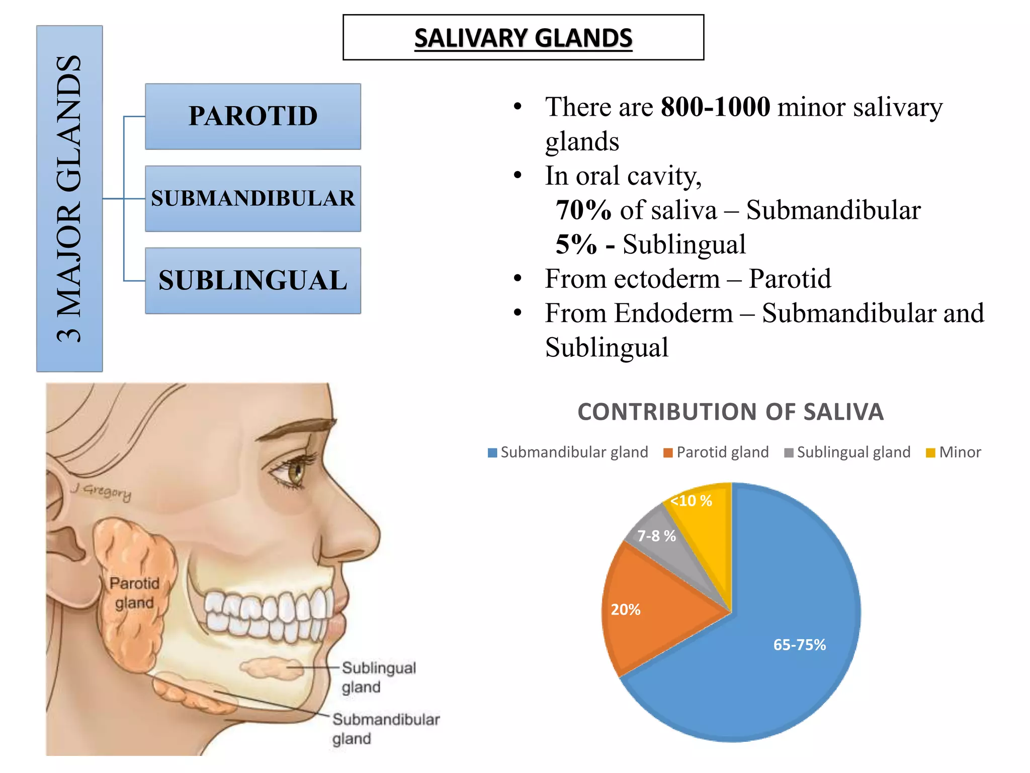Stem cell therapy for xerostomia | PPTX | Ear, Nose and Throat ...
