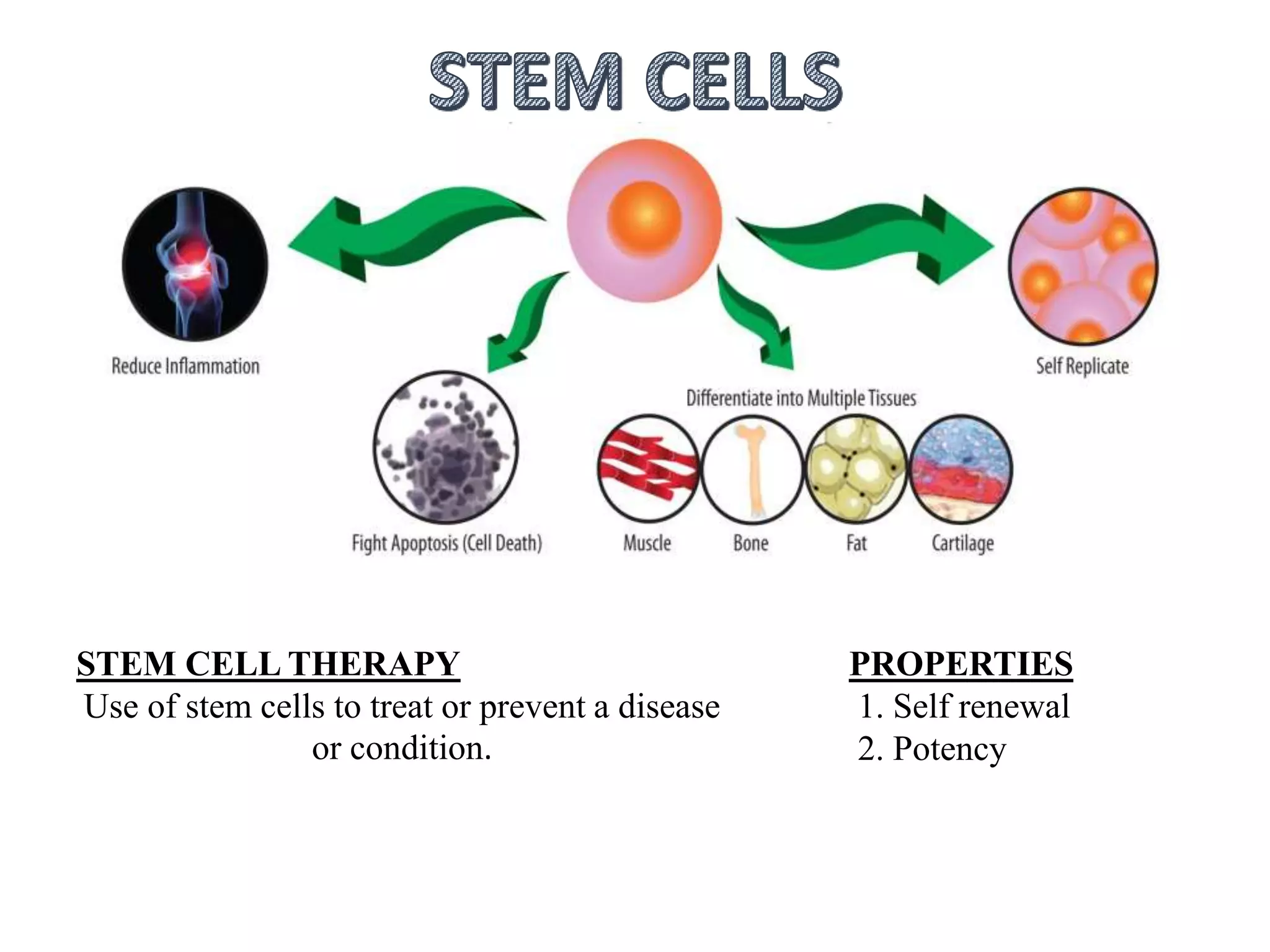 Stem cell therapy for xerostomia | PPTX | Ear, Nose and Throat ...