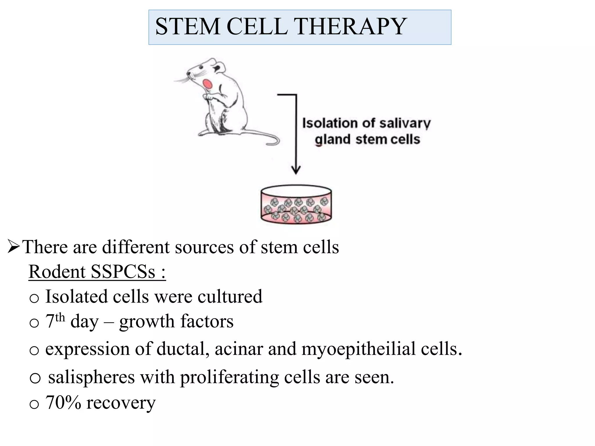 Stem cell therapy for xerostomia | PPTX | Ear, Nose and Throat ...