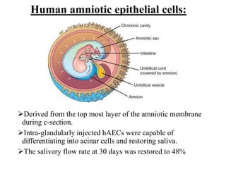 Stem cell therapy for xerostomia | PPTX | Ear, Nose and Throat ...