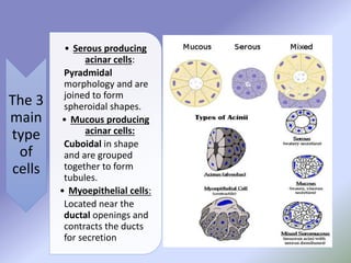 Stem cell therapy for xerostomia | PPTX | Ear, Nose and Throat ...