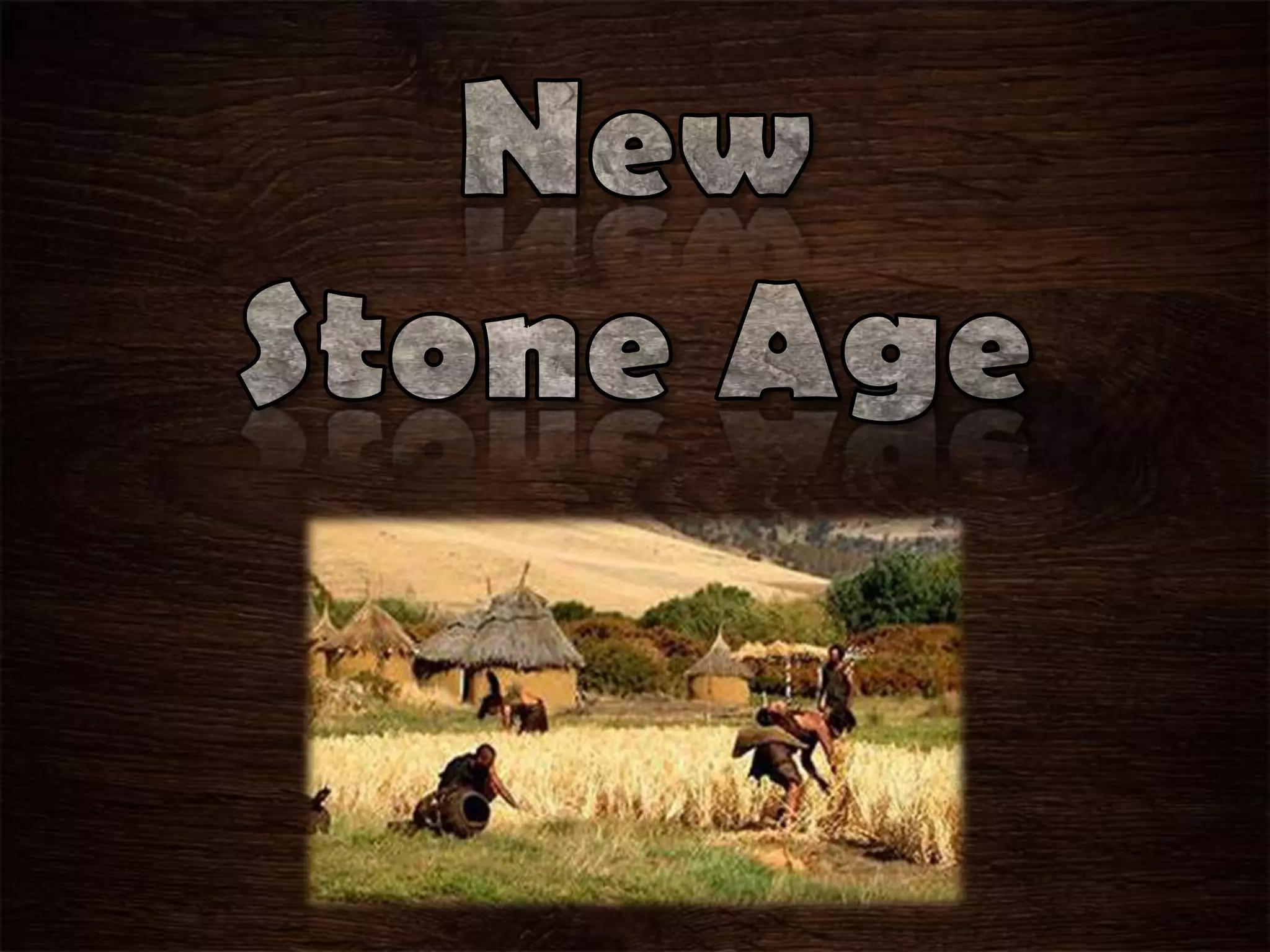 New Stone Age | PPTX | Agriculture | Industries