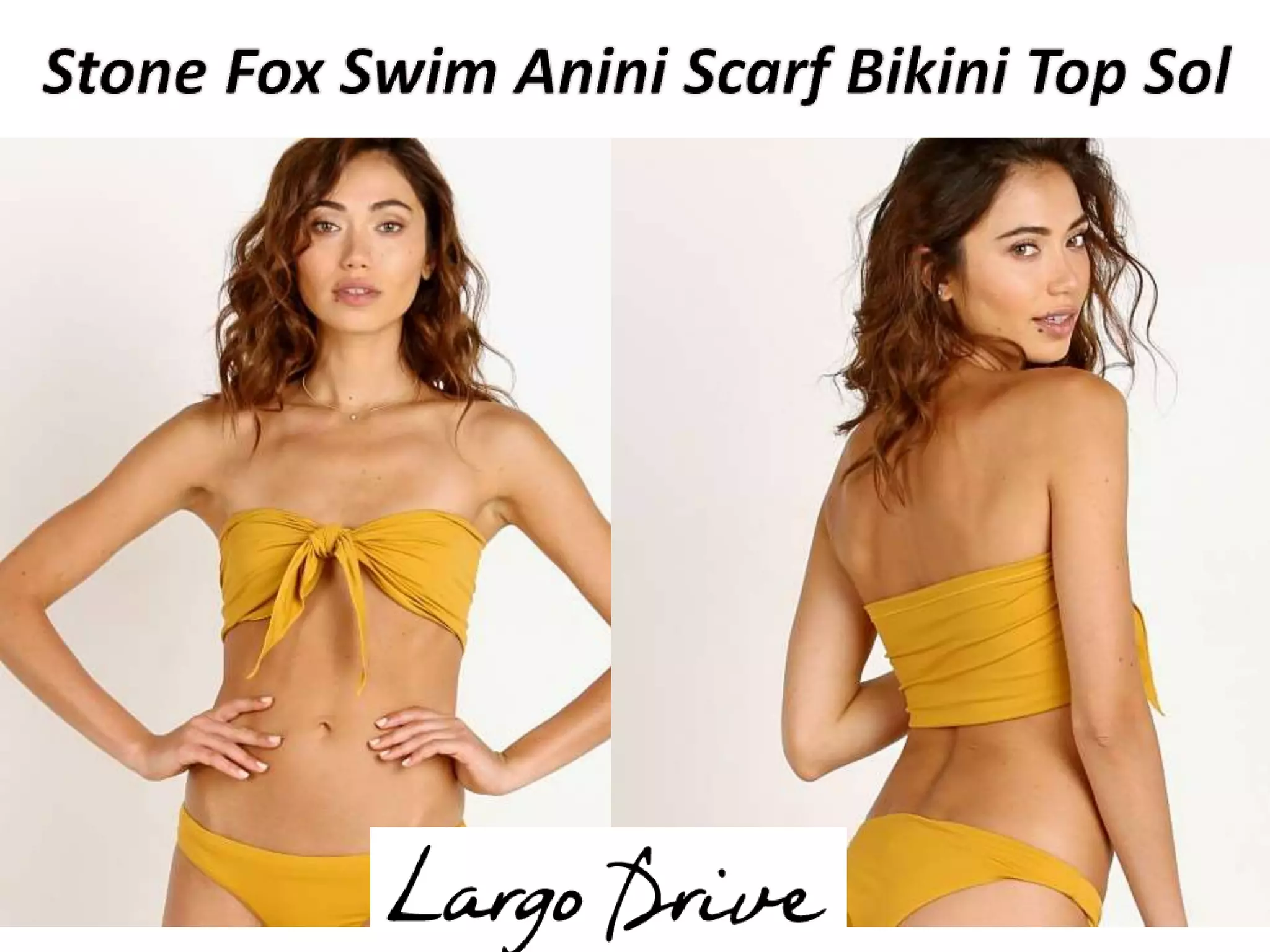 New stone fox swimwear | PPTX | Swimming | Sports