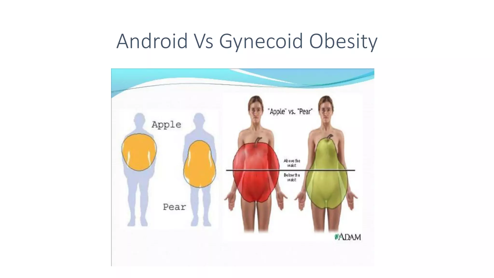 New strategies in management of obesity | PDF