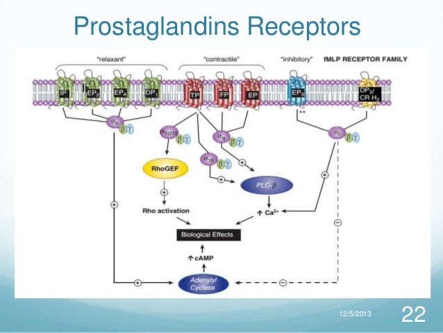 New style prostaglandins