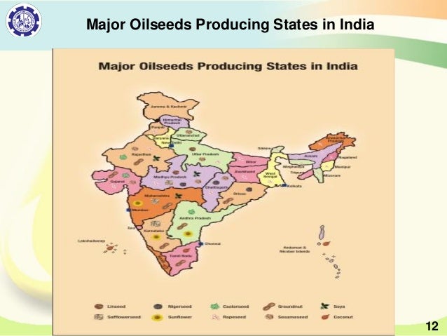 #128 'Overview of Indian Oilseed Sector Short term and Long term Dema…