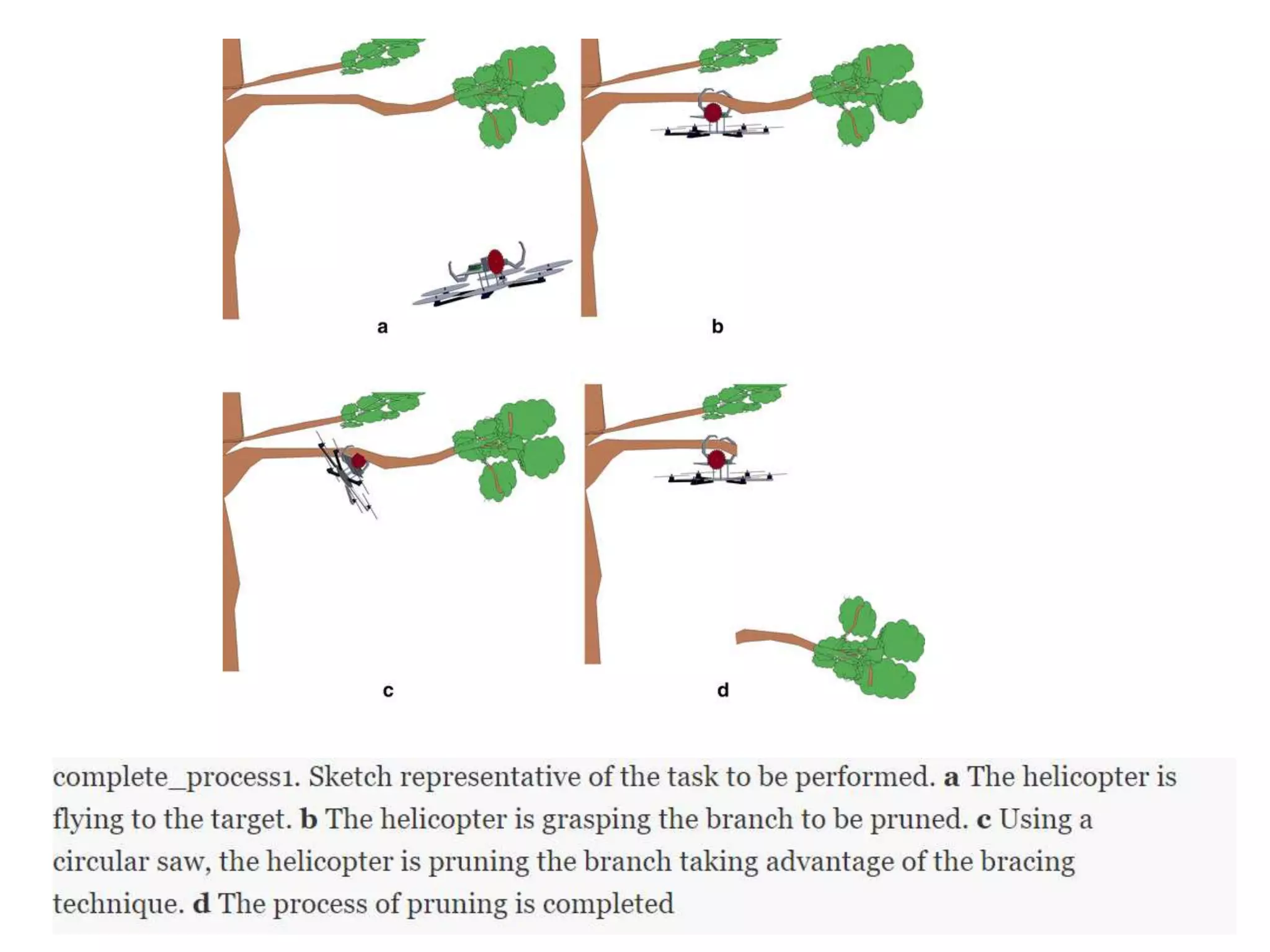 Advances in training and pruning of Trees. | PPTX