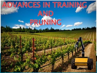 Advances in training and pruning of Trees. | PPTX