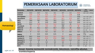 (NEW) Template Presentasi UGM 2 (2).pptx