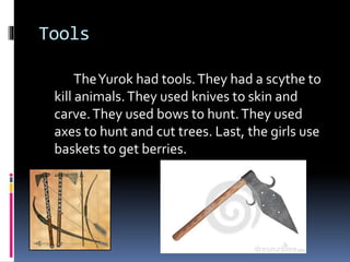 New the yurok tribe historian chase little | PPT