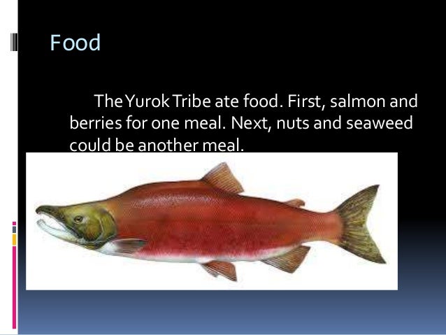 New the yurok tribe historian chase little