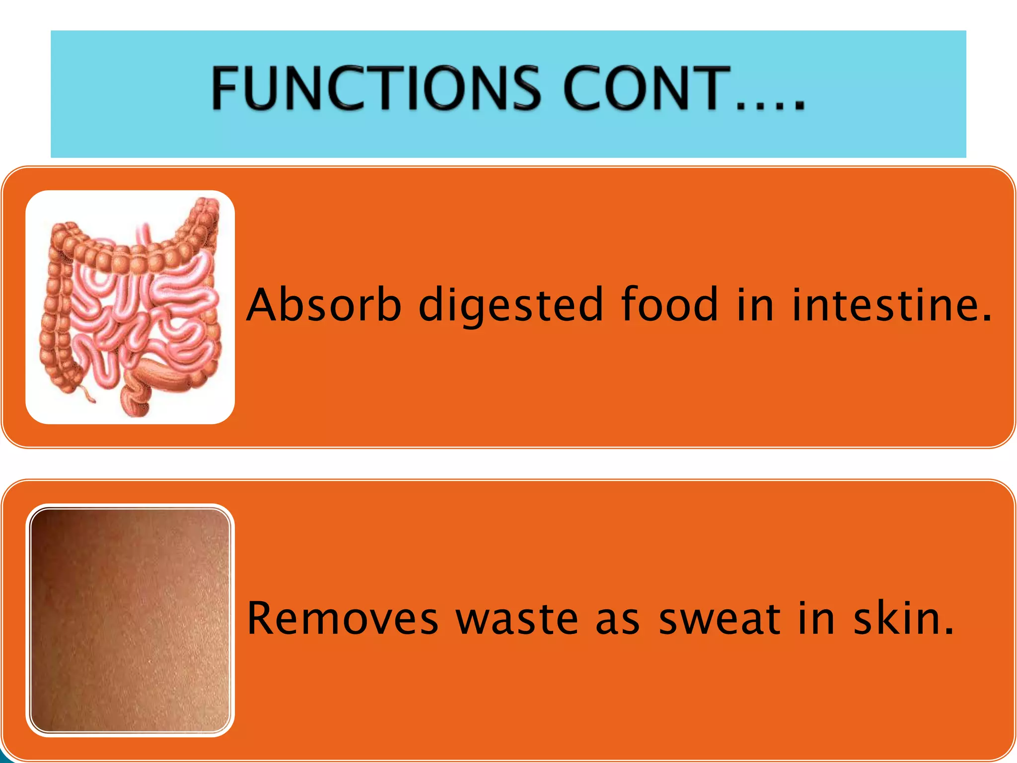 tissue and it's types | PPTX