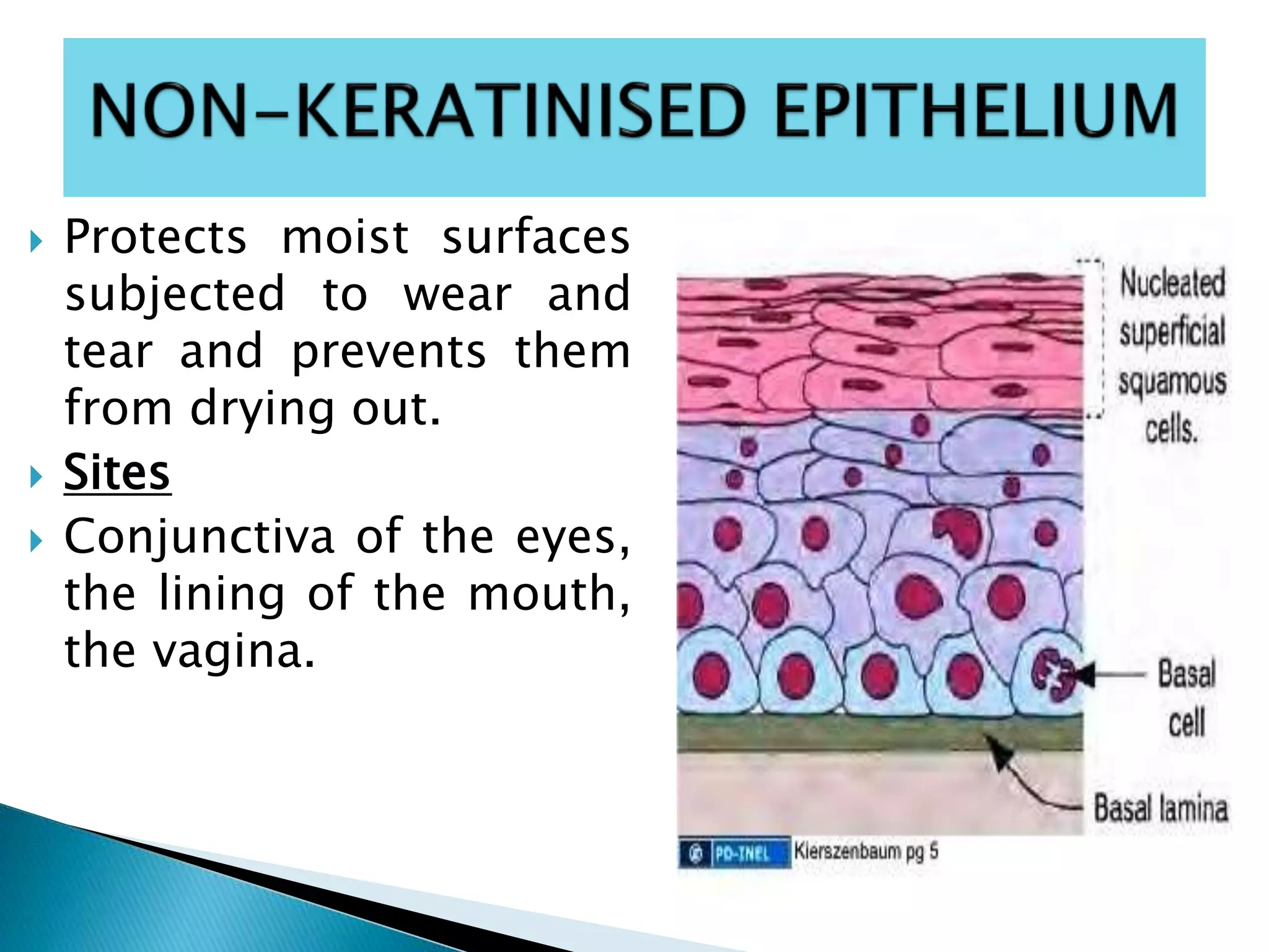tissue and it's types | PPTX