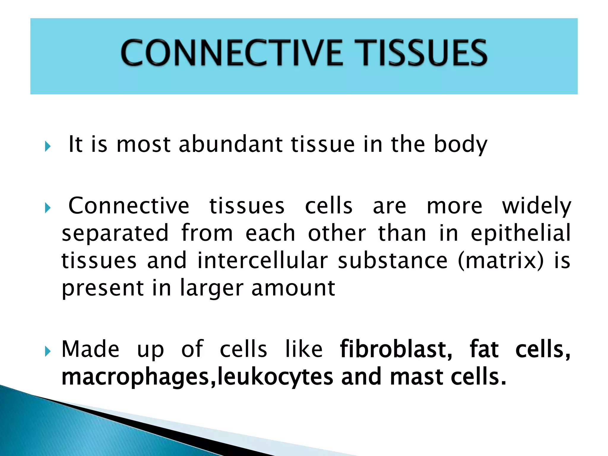 tissue and it's types | PPTX