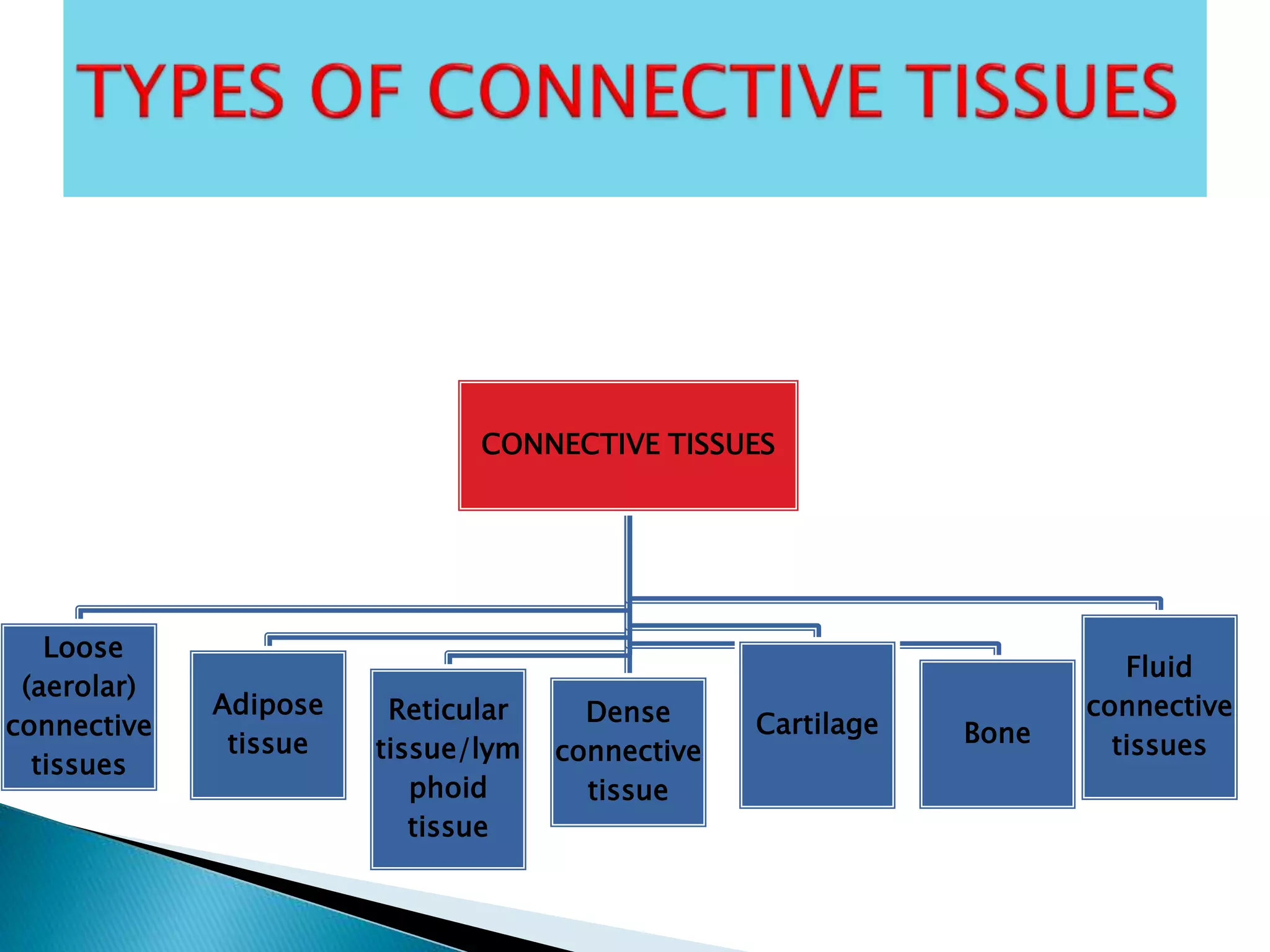 tissue and it's types | PPTX