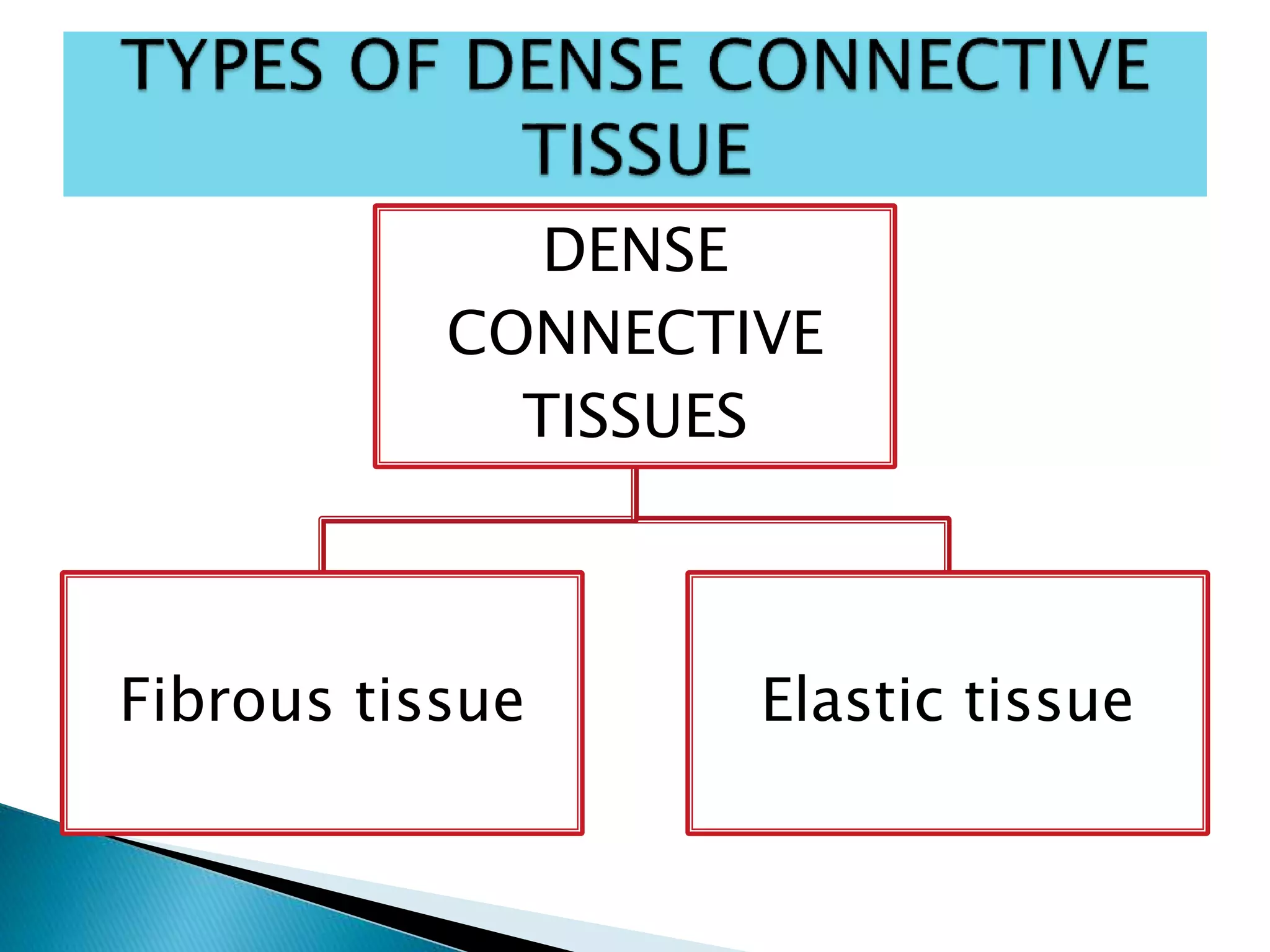 tissue and it's types | PPTX