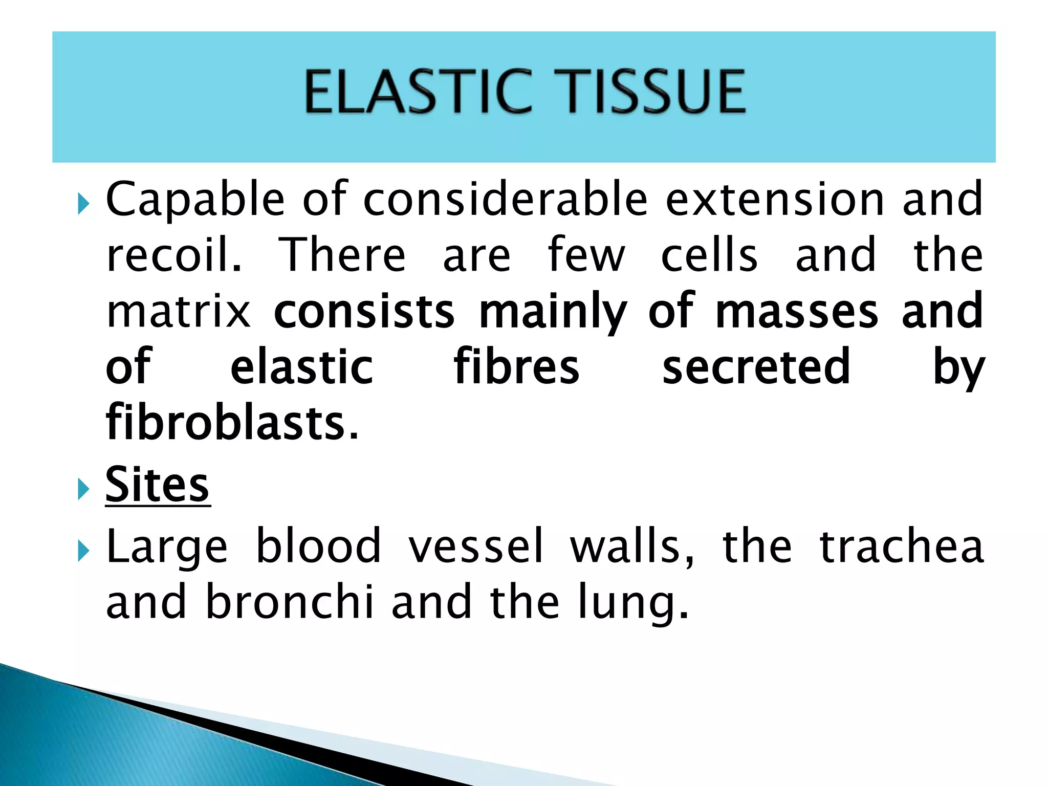 tissue and it's types | PPTX