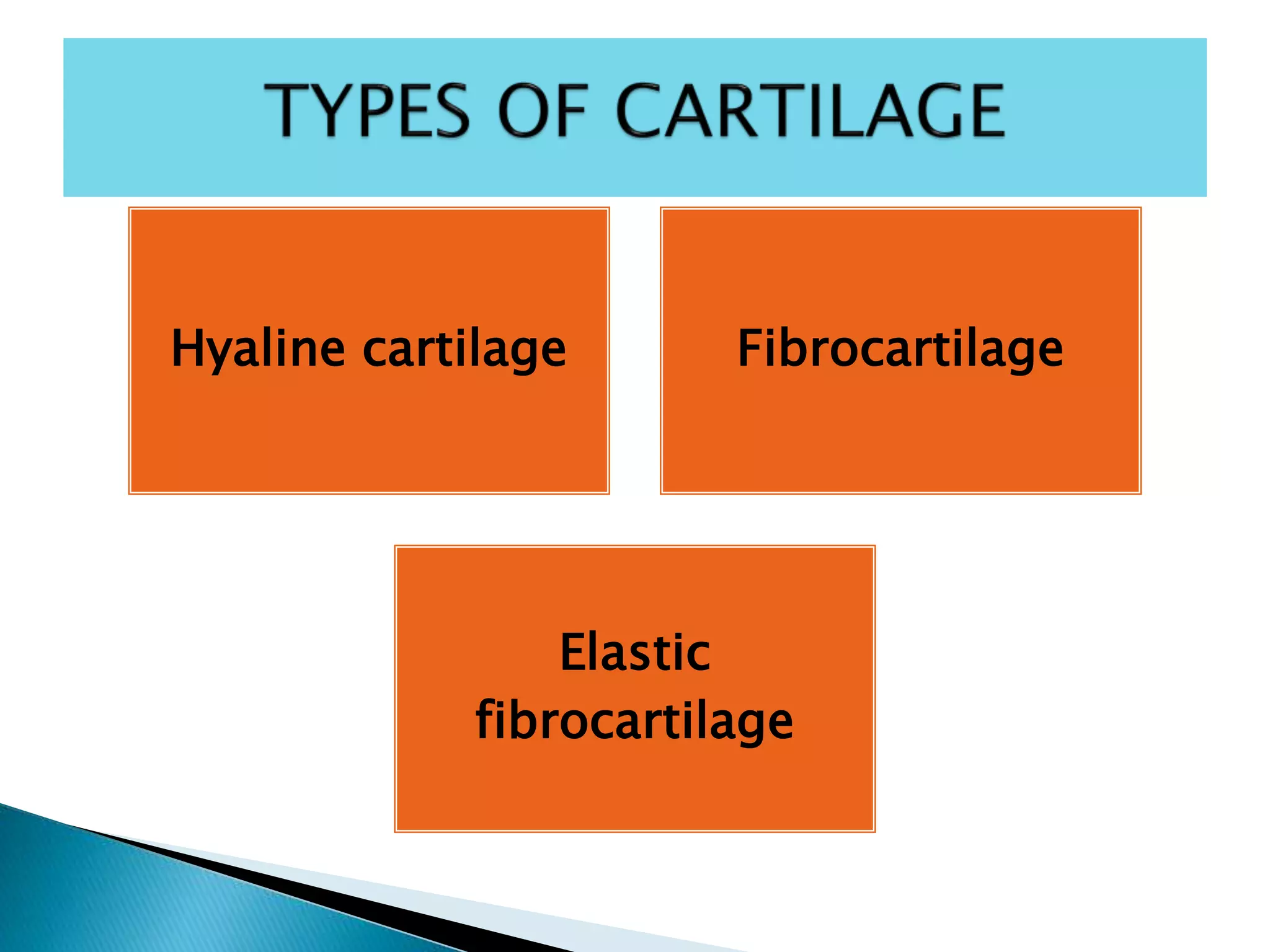 tissue and it's types | PPTX