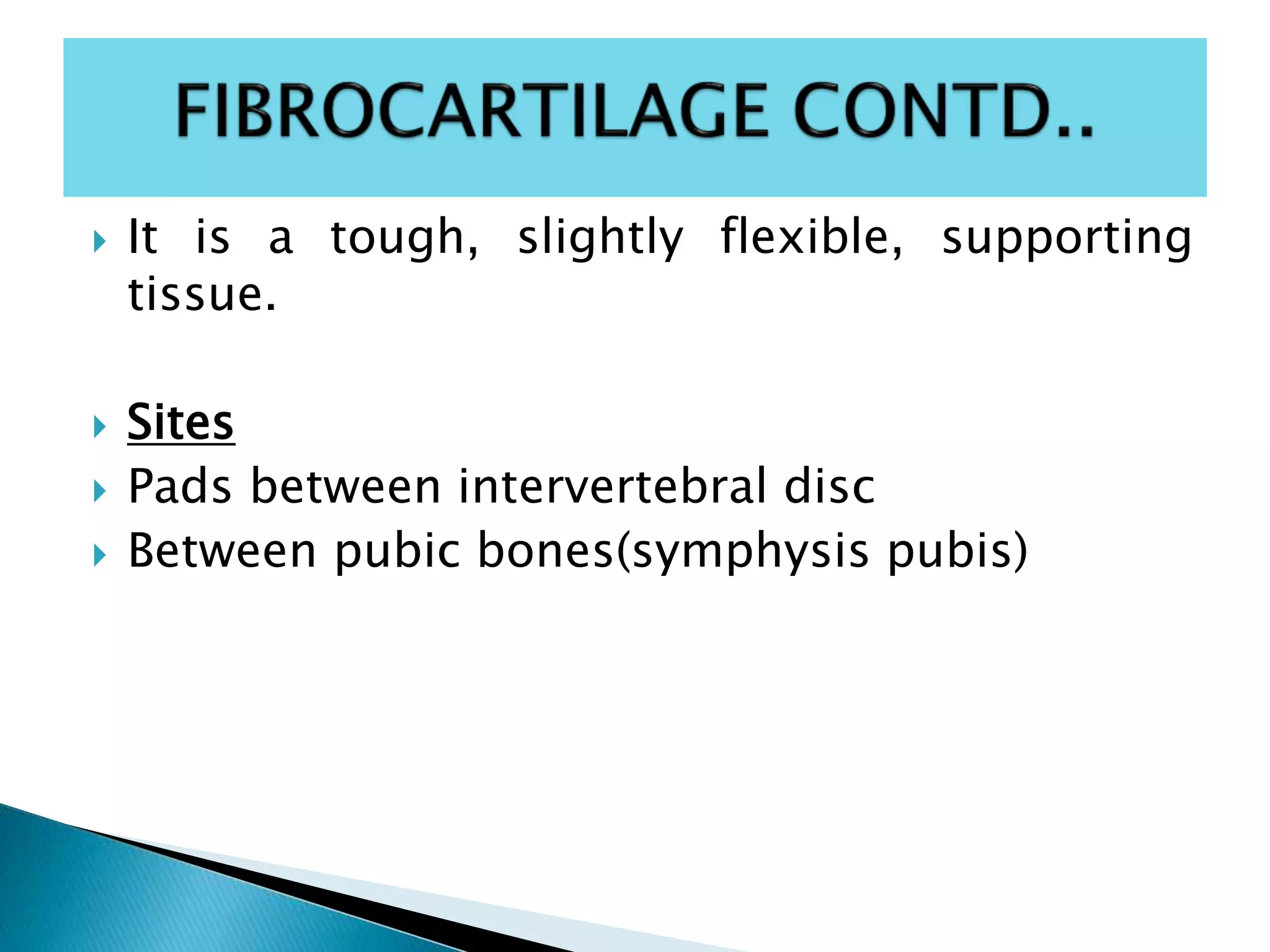 tissue and it's types | PPTX