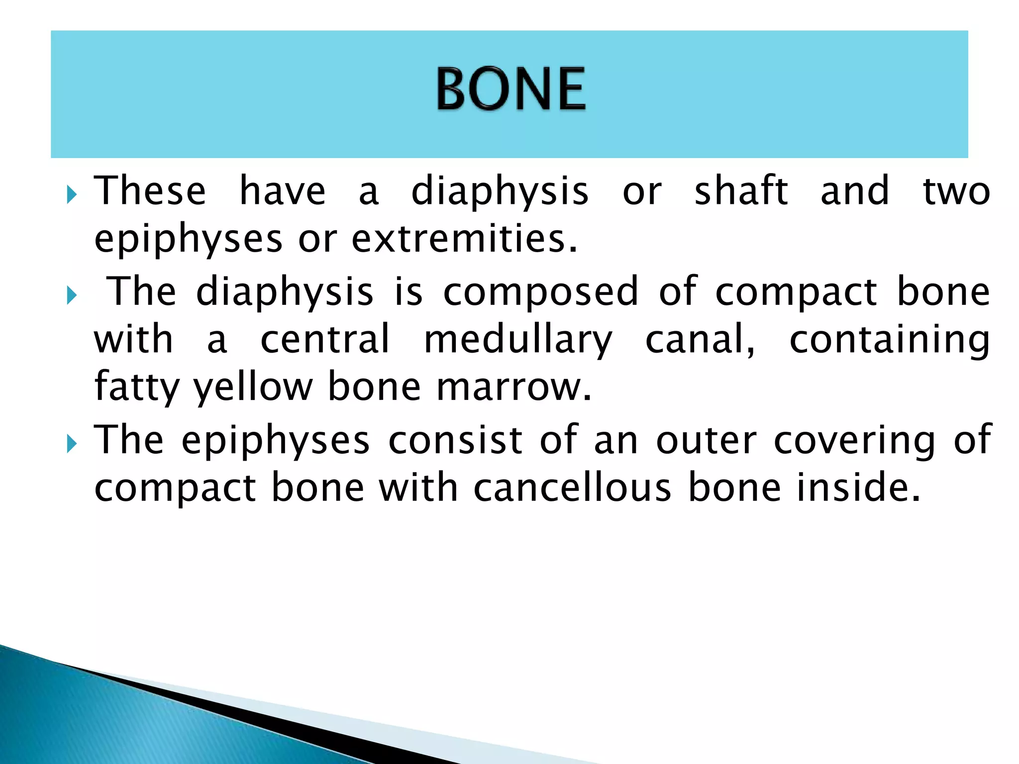 tissue and it's types | PPTX