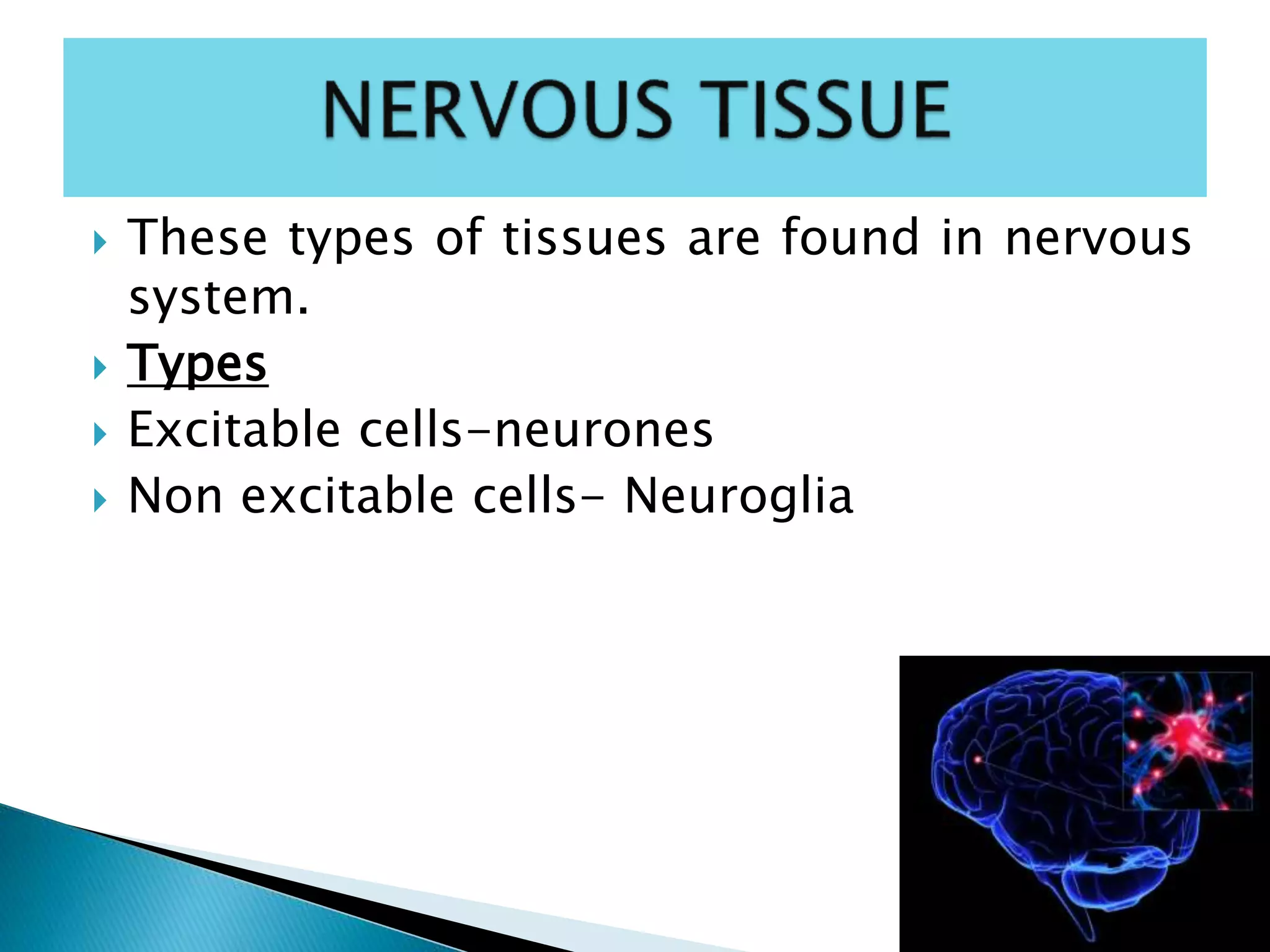 tissue and it's types | PPTX
