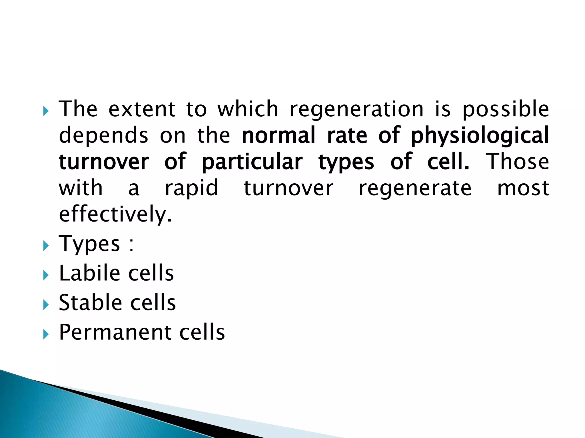 tissue and it's types | PPTX