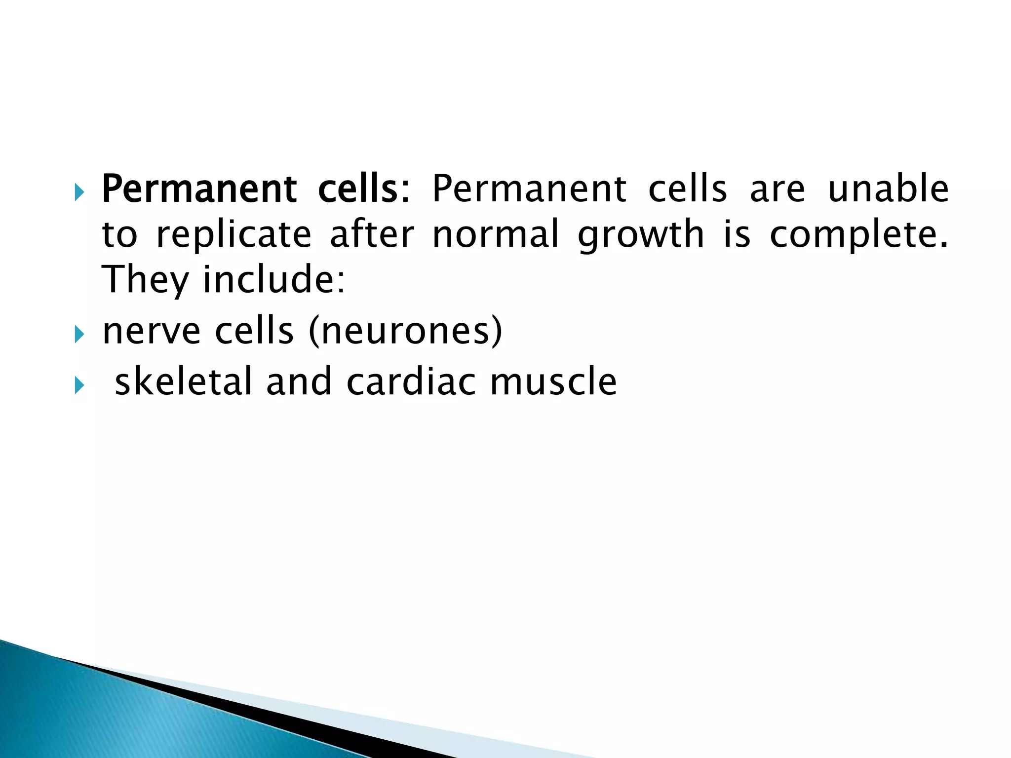 tissue and it's types | PPTX