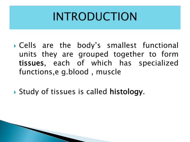 tissue and it's types | PPTX | Biological Sciences | Science