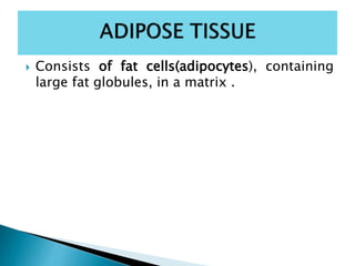 tissue and it's types | PPTX