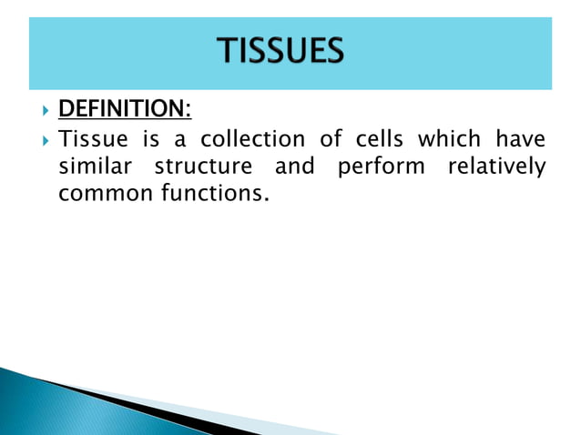 tissue and it's types | PPTX | Biological Sciences | Science