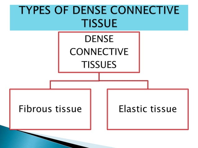 tissue and it's types | PPTX | Biological Sciences | Science