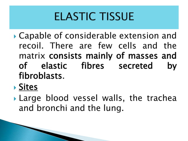tissue and it's types | PPTX | Biological Sciences | Science