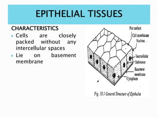 tissue and it's types | PPTX