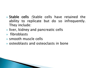 tissue and it's types | PPTX