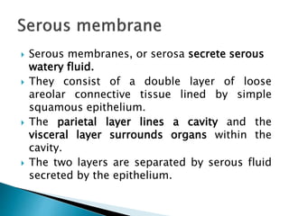 tissue and it's types | PPTX