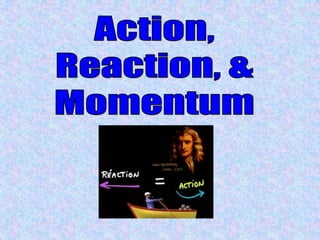 Newton's 3rd Law of Motion | PPT