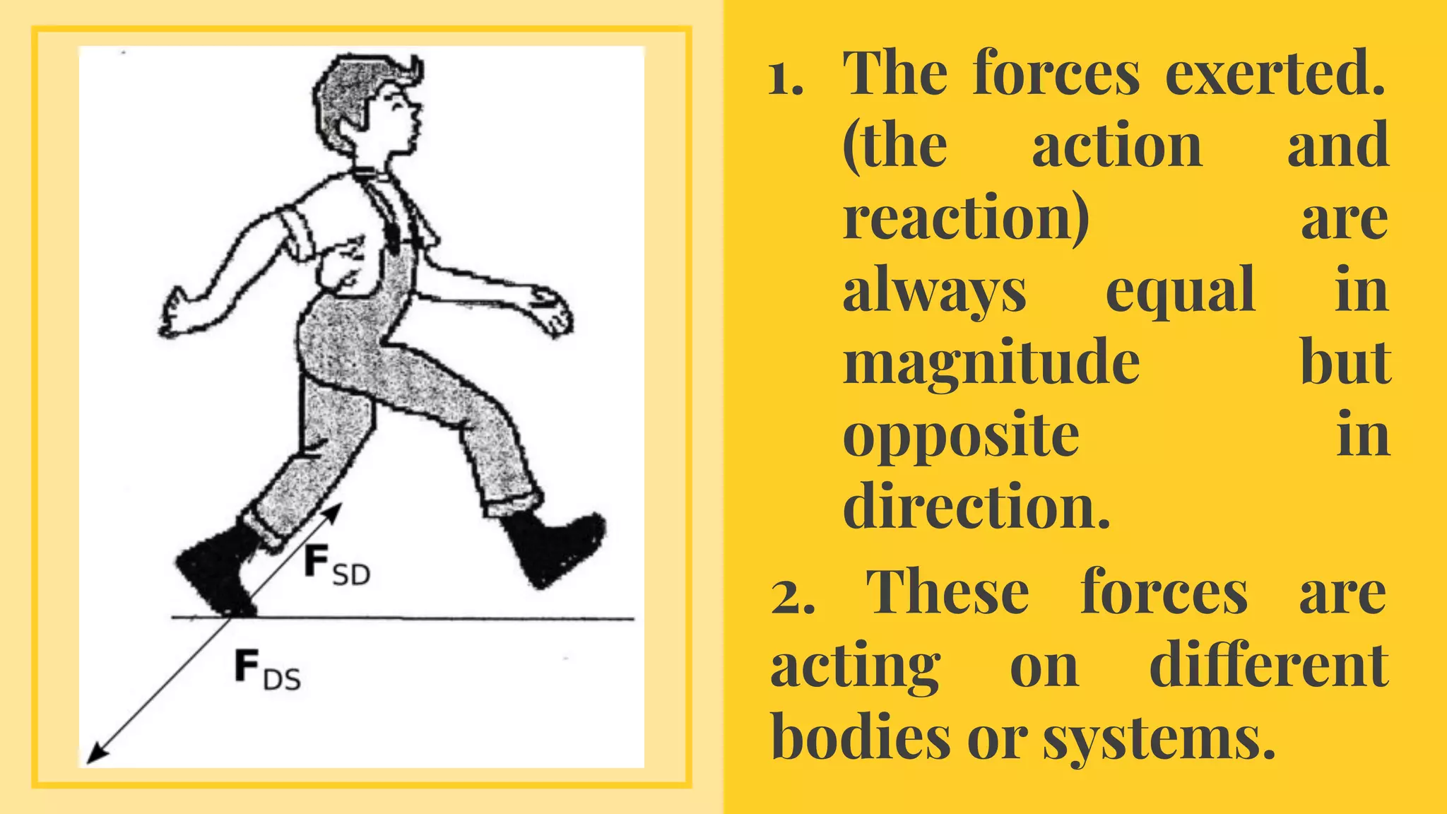 Newton's 3rd law of motion.pptx | Physics | Science