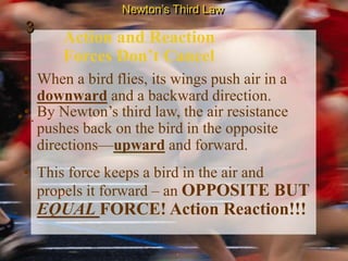 Newtons 3rd Law of Motion.ppt