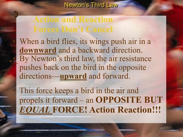 Newtons 3rd Law of Motion.ppt | Free Download